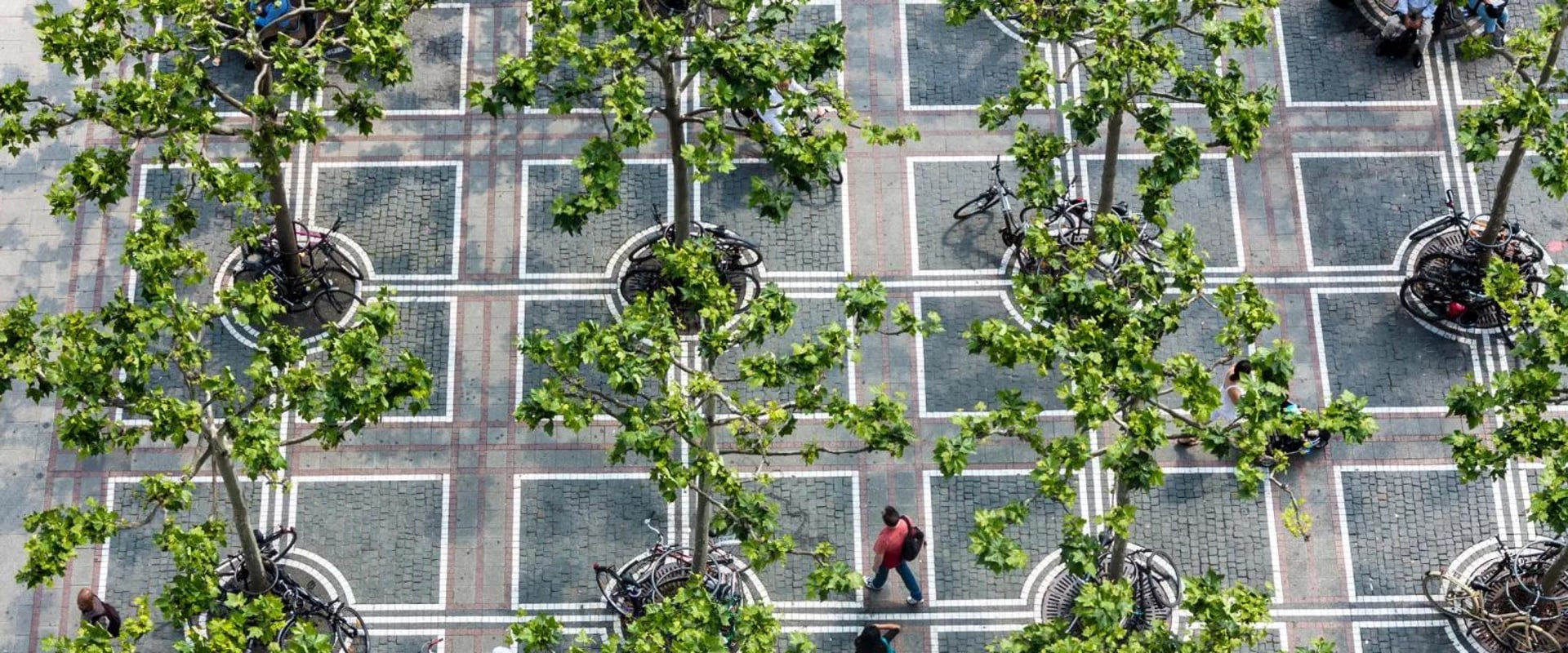 Green Oasis In Portland, OR: How Tree Trimming Enhances Overall Maintenance